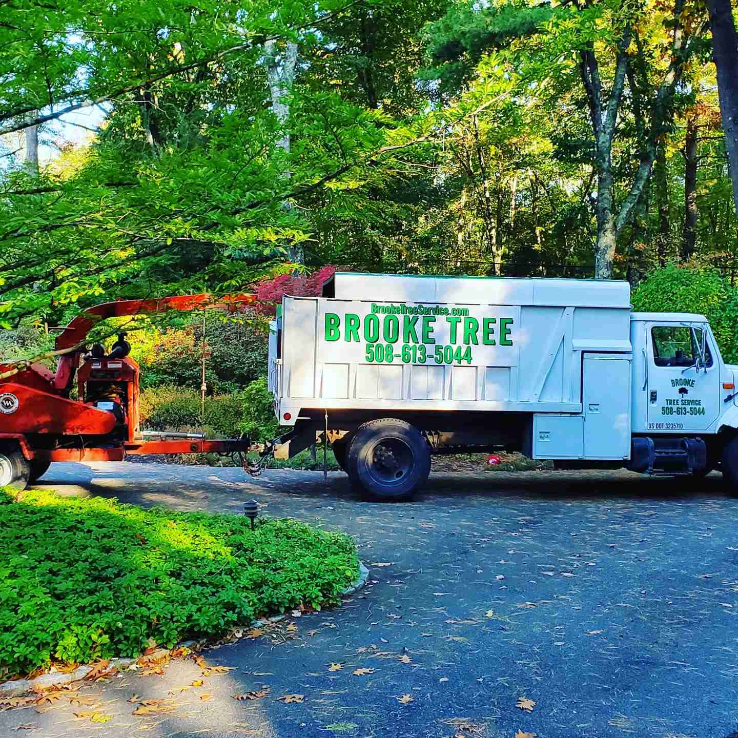 Brooke Tree Service - Burb Hero
